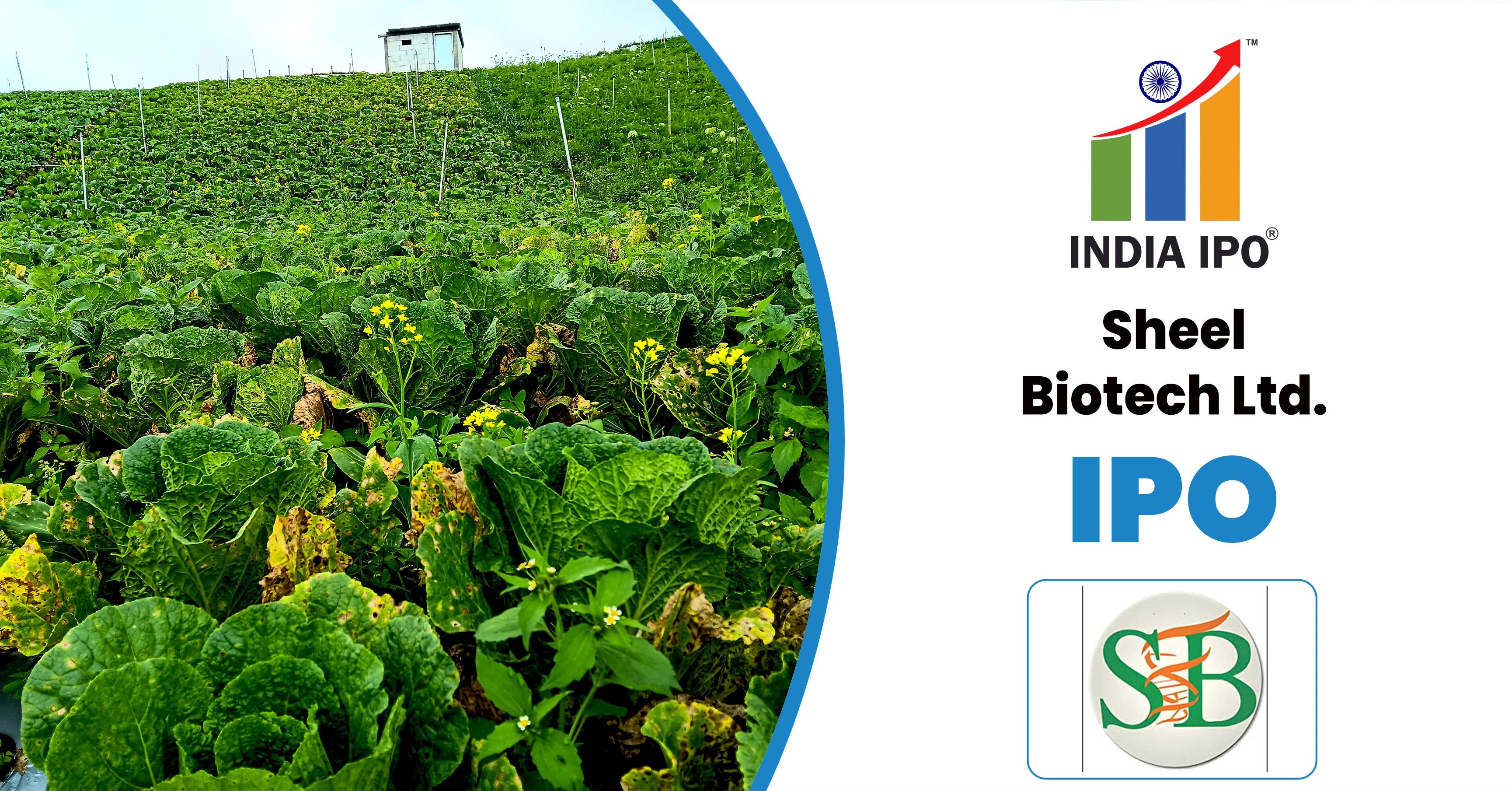 Sheel Biotech IPO | India IPO